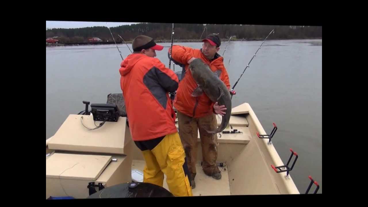 Columbus Lake catfish at the lower end of the Tenn-Tom Waterway