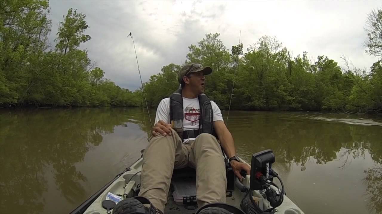 Video shows kayaker pulling gator to boat on jug line
