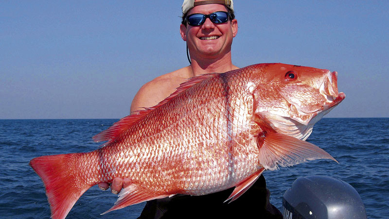 Snapper Species
